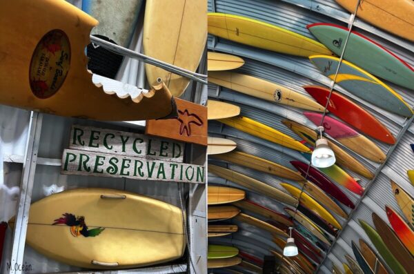 Surf Museums in the USA | Surfboard Museum Near You